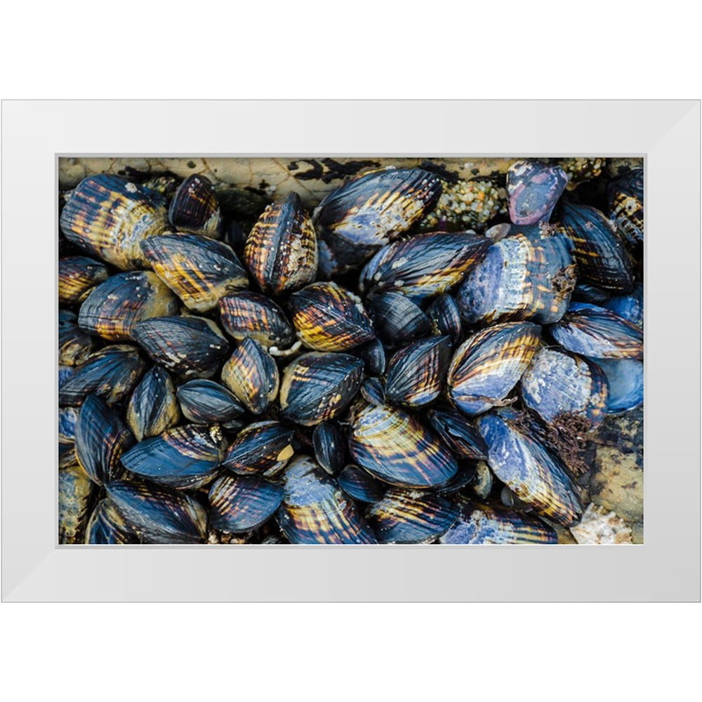 Miller, Anna 14x11 White Modern Wood Framed Museum Art Print Titled ...