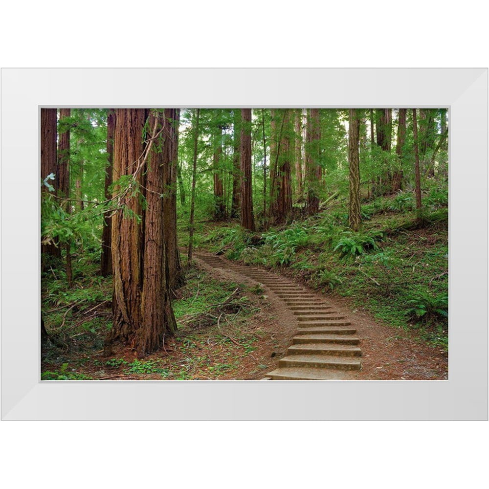 Miller, Anna 18x13 White Modern Wood Framed Museum Art Print Titled ...