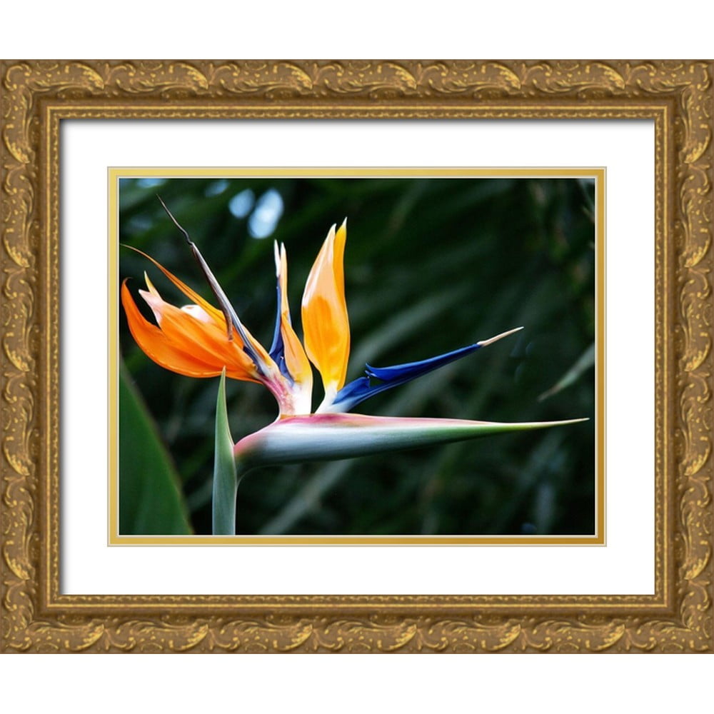 Miller, Anna 18x15 Gold Ornate Wood Framed with Double Matting Museum ...