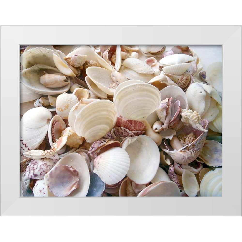 Miller, Anna 18x15 White Modern Wood Framed Museum Art Print Titled ...