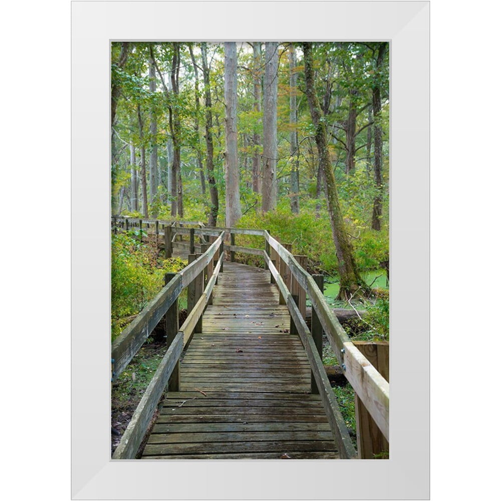 Miller, Anna 23x32 White Modern Wood Framed Museum Art Print Titled ...