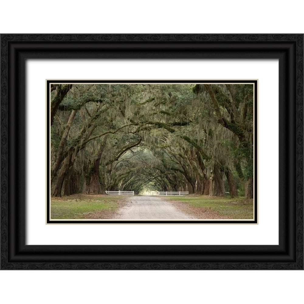 Miller, Anna 24x17 Black Ornate Wood Framed with Double Matting Museum ...