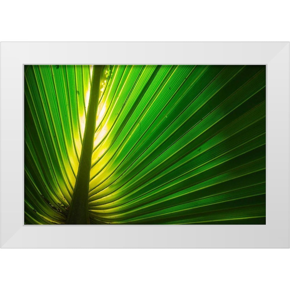 Miller, Anna 24x17 White Modern Wood Framed Museum Art Print Titled ...