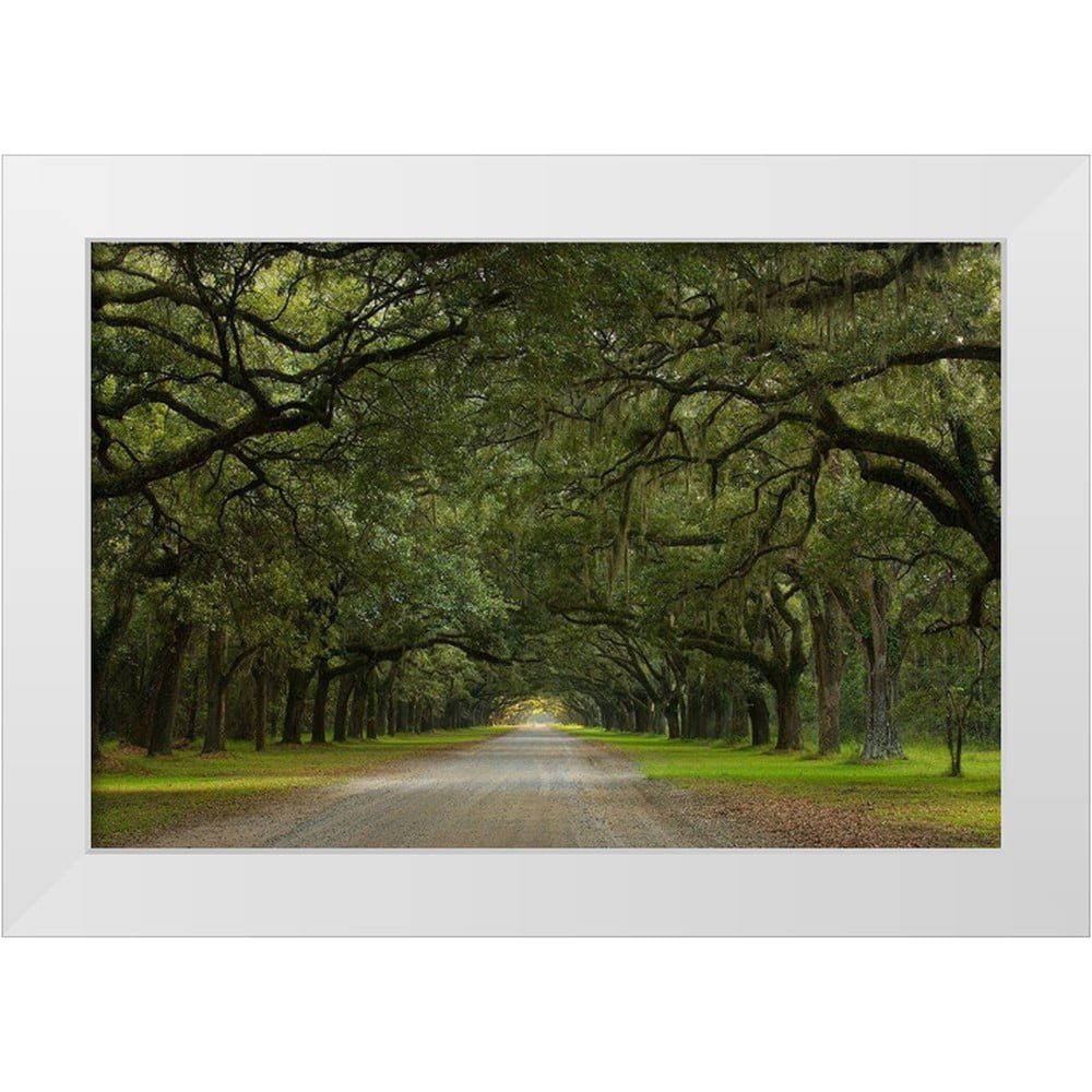 Miller, Anna 24x17 White Modern Wood Framed Museum Art Print Titled ...