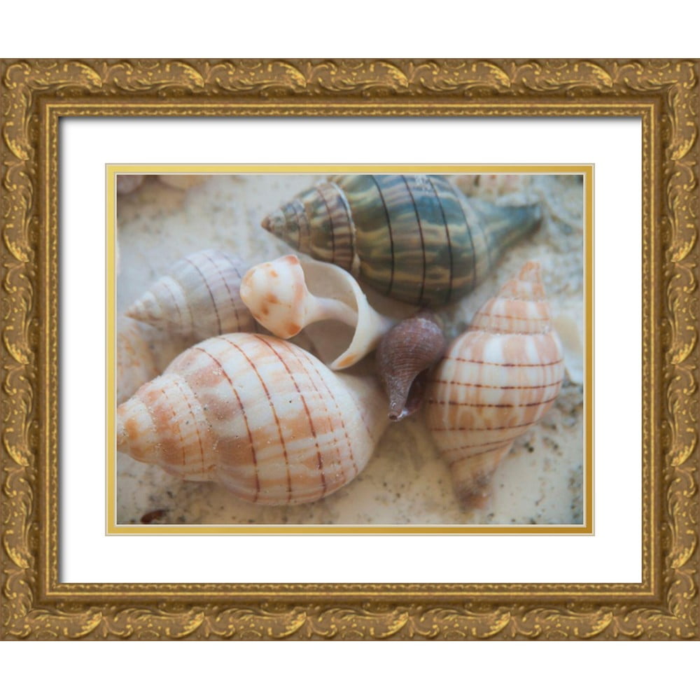 Miller, Anna 24x19 Gold Ornate Wood Framed with Double Matting Museum ...