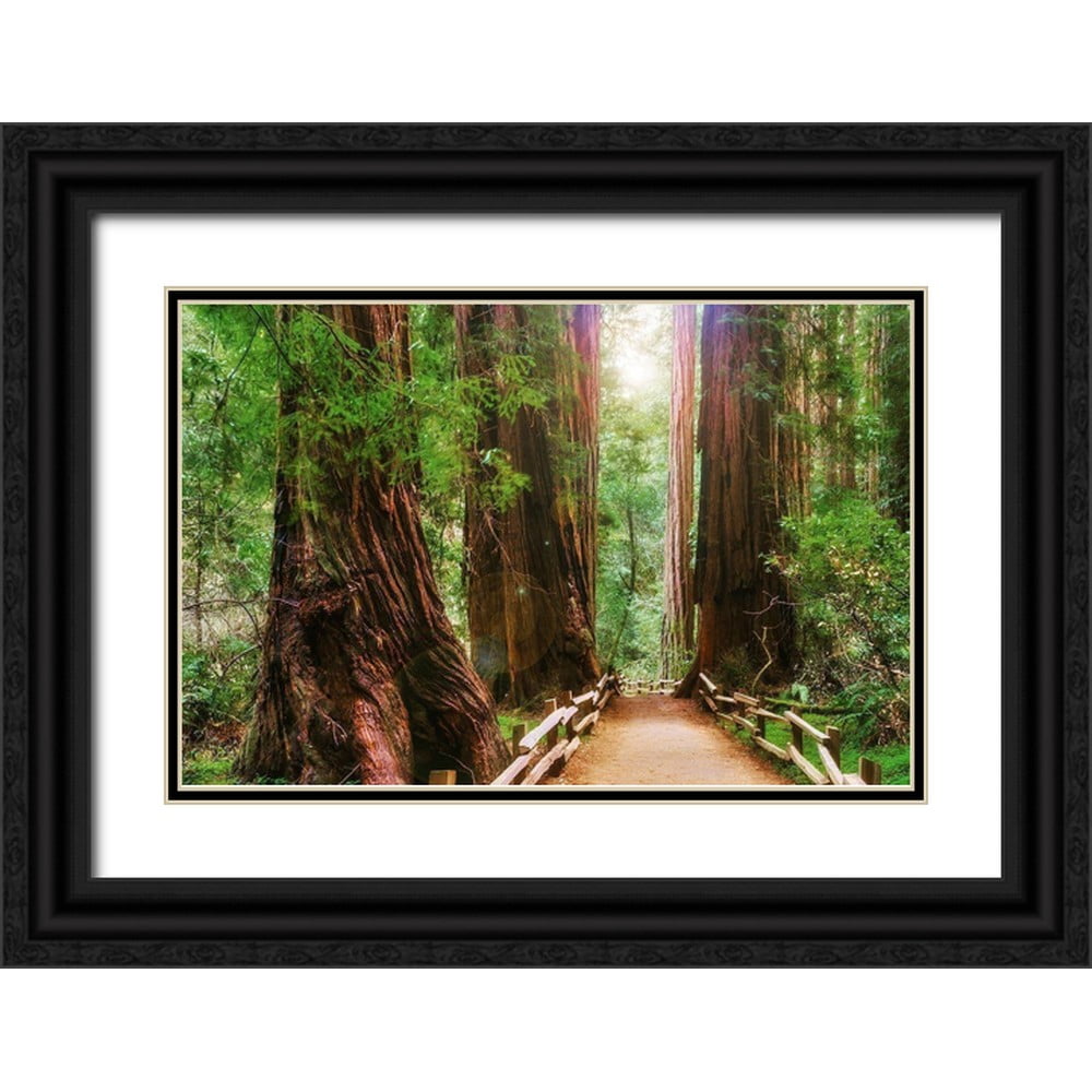 Miller, Anna 32x23 Black Ornate Wood Framed with Double Matting Museum ...