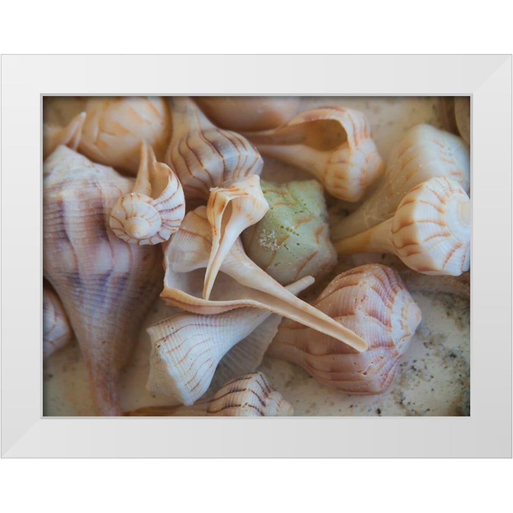 Miller, Anna 32x25 White Modern Wood Framed Museum Art Print Titled ...