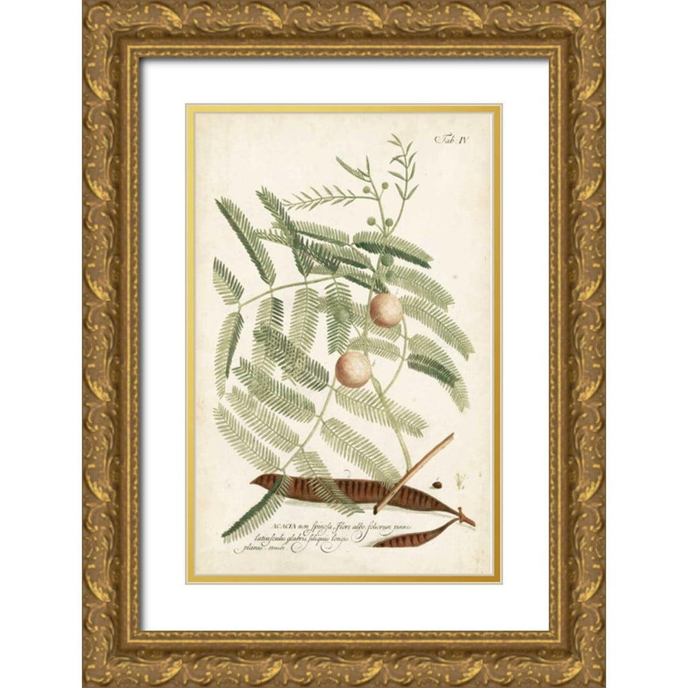 Miller, Dianne 17x24 Gold Ornate Wood Framed with Double Matting Museum ...