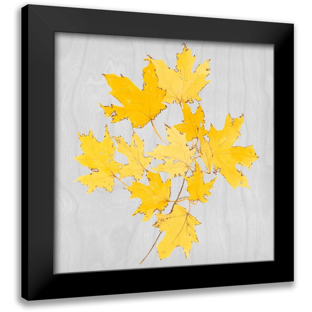 Miller, Dianne 20x20 Black Modern Framed Museum Art Print Titled ...