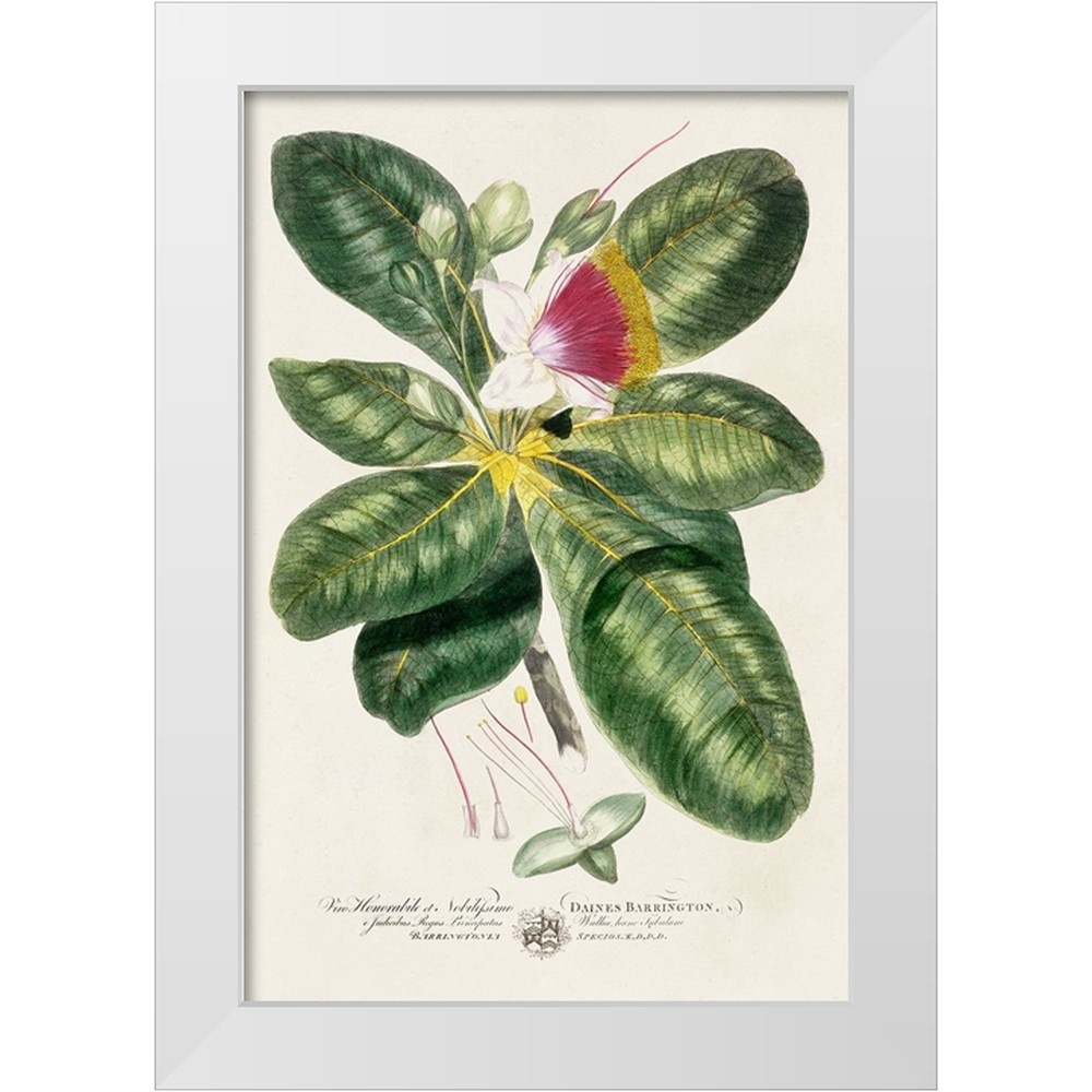 Miller, John 23x32 White Modern Wood Framed Museum Art Print Titled ...