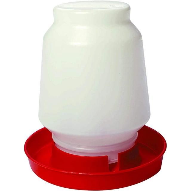 Little Giant 1 Gallon Heavy Duty Plastic Poultry Fountain, Gravity Fed ...