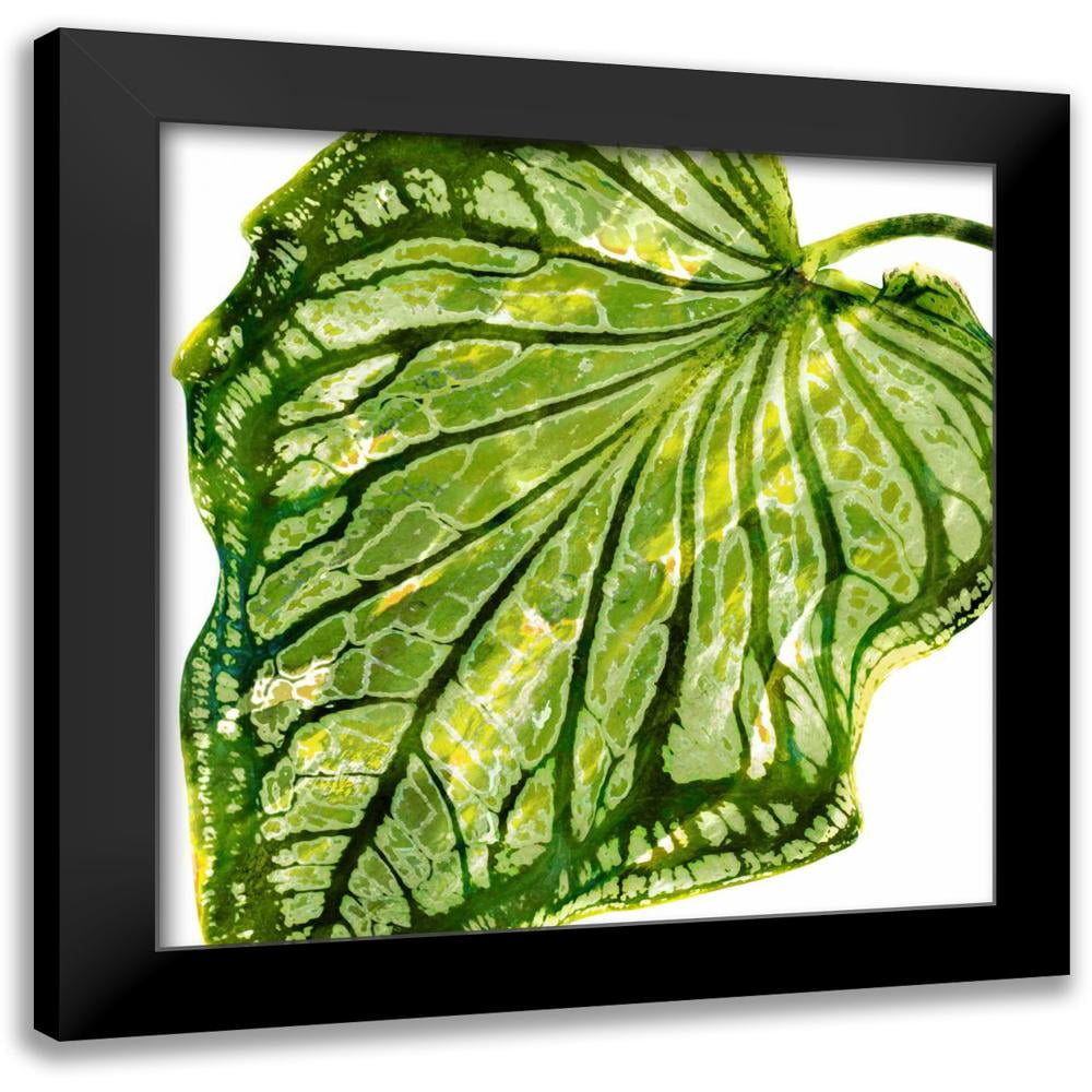 Miller, Melonie 15x15 Black Modern Framed Museum Art Print Titled ...