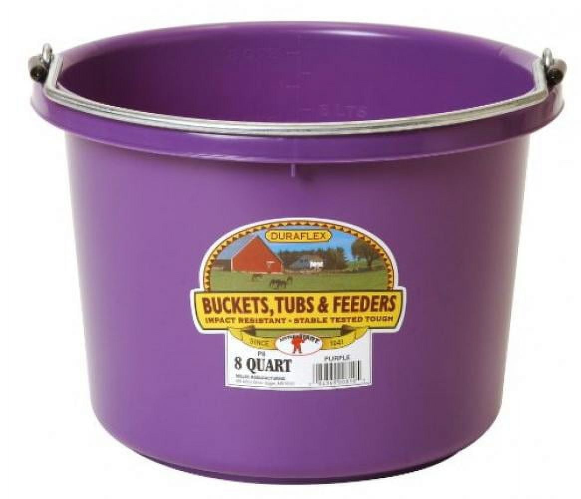 Miller Mfg Co Inc P-Little Giant Plastic Bucket- Purple 8 Quart ...