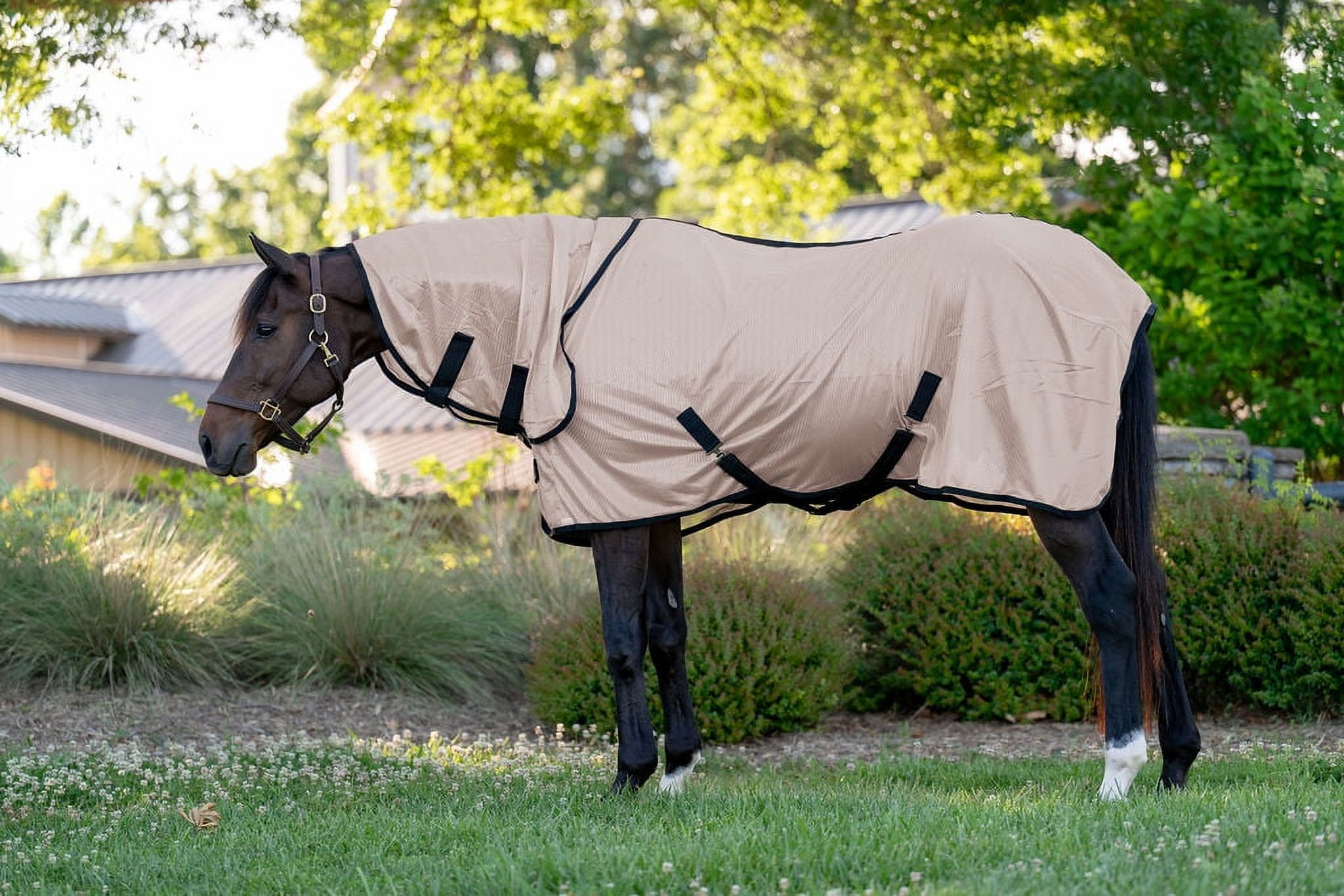 Miller's Combo Neck Fly Sheet -Rose/Beige -72 - Walmart.com