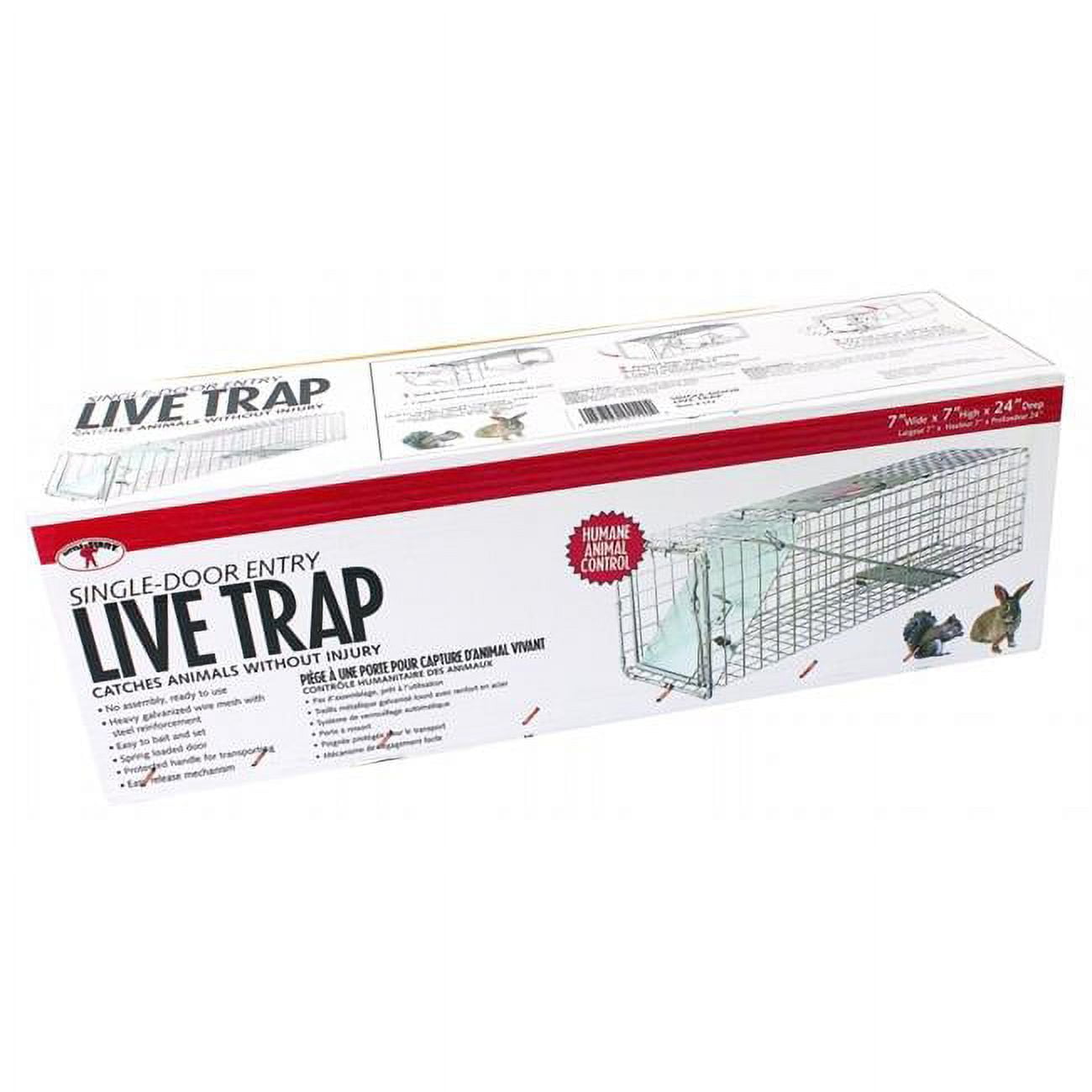 Little Giant Single Door Entry Live Humane Small Animal Trap - Silver ...