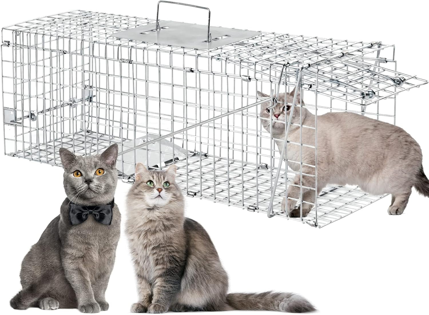 Millerjens Animal Traps,Live Animal Trap for Cats,Rabbits, Squirrels ...