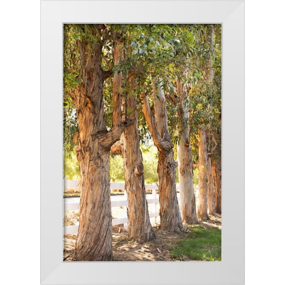 Millet, Karyn 11x14 White Modern Wood Framed Museum Art Print Titled ...