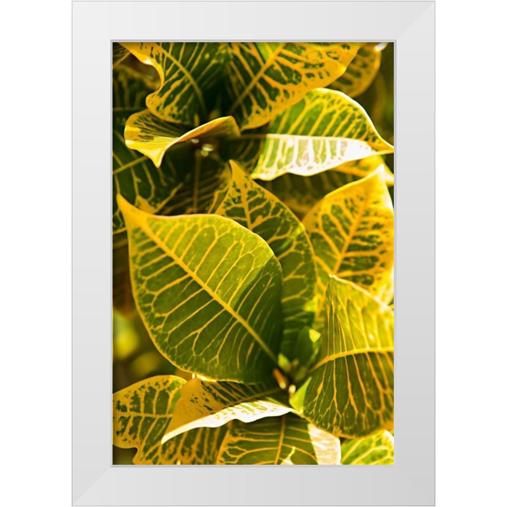 Millet, Karyn 11x14 White Modern Wood Framed Museum Art Print Titled ...