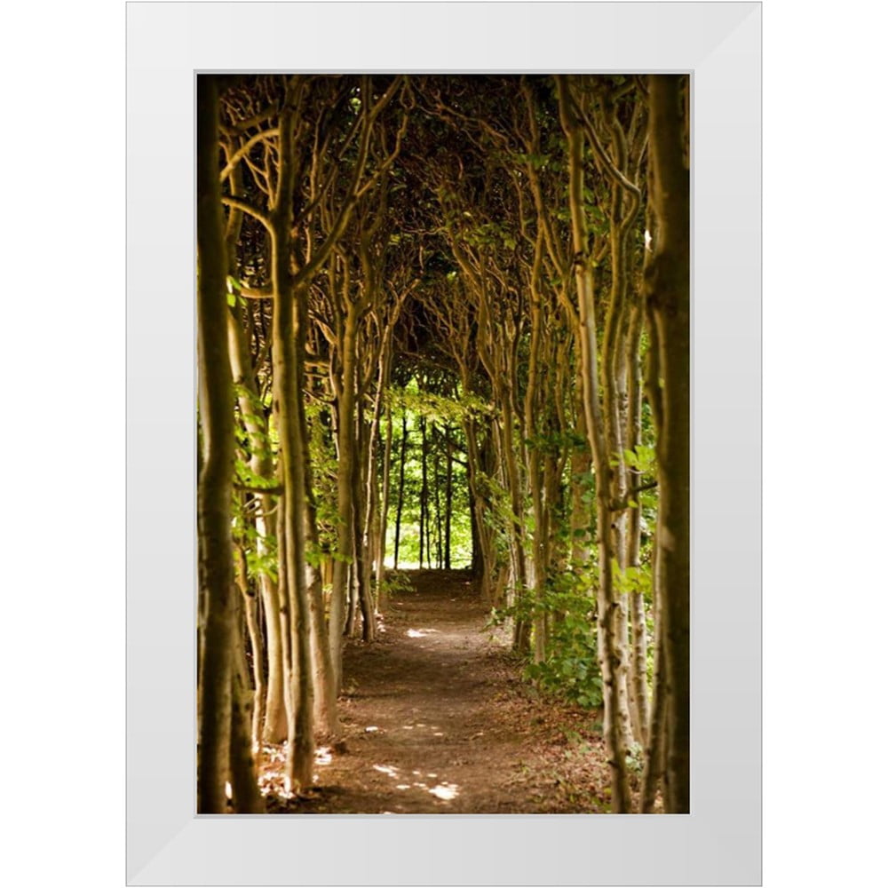 Millet, Karyn 11x14 White Modern Wood Framed Museum Art Print Titled ...