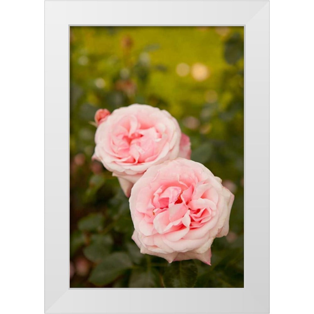 Millet, Karyn 11x14 White Modern Wood Framed Museum Art Print Titled ...