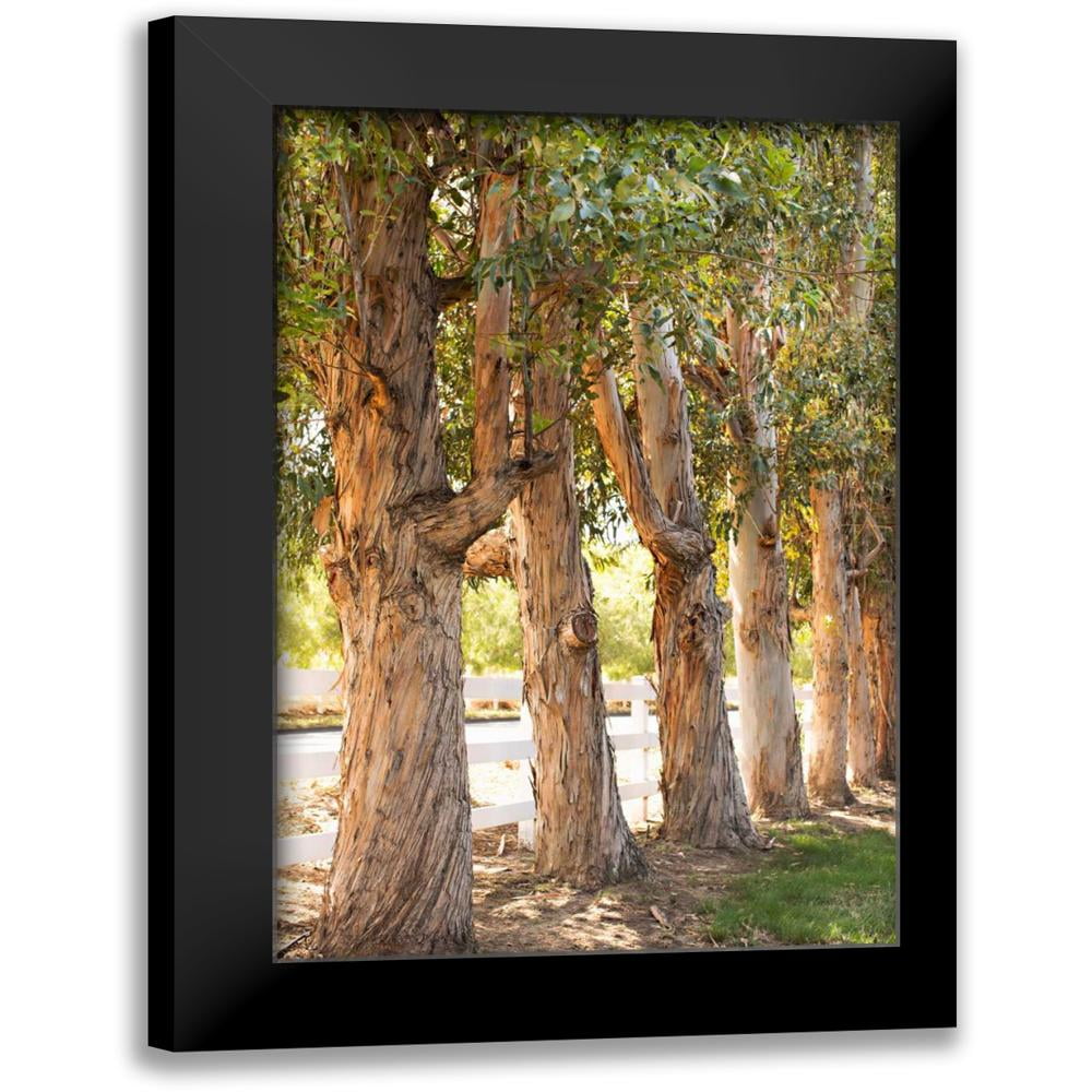 Millet, Karyn 13x18 Black Modern Framed Museum Art Print Titled ...