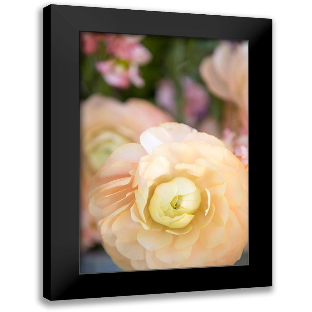 Millet, Karyn 13x18 Black Modern Framed Museum Art Print Titled - Pastel Peach Floral - Walmart.com