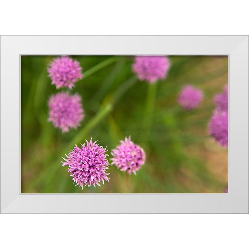 Millet, Karyn 14x11 White Modern Wood Framed Museum Art Print Titled ...