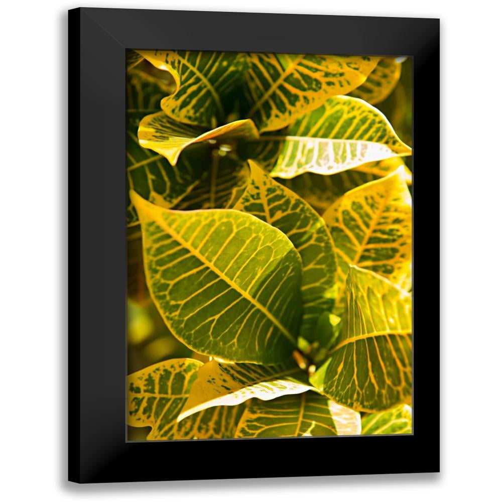 Millet, Karyn 17x24 Black Modern Framed Museum Art Print Titled - Green ...