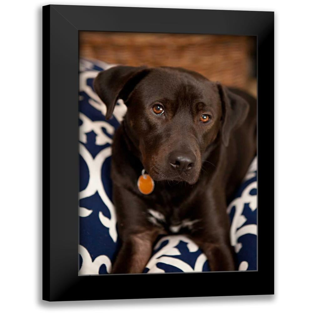 Millet, Karyn 17x24 Black Modern Framed Museum Art Print Titled ...