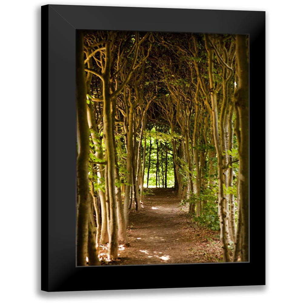 Millet, Karyn 17x24 Black Modern Framed Museum Art Print Titled - Path ...