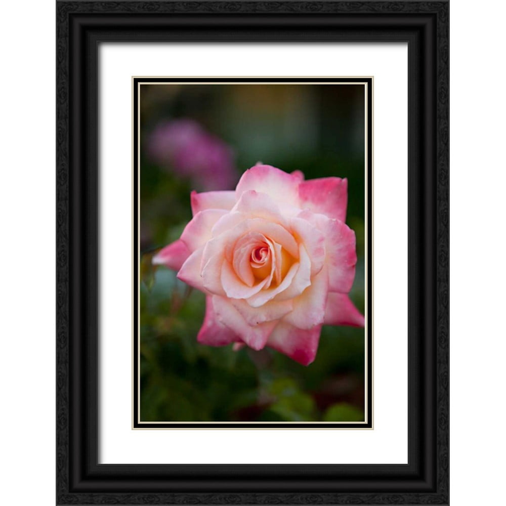 Millet, Karyn 17x24 Black Ornate Wood Framed with Double Matting Museum ...