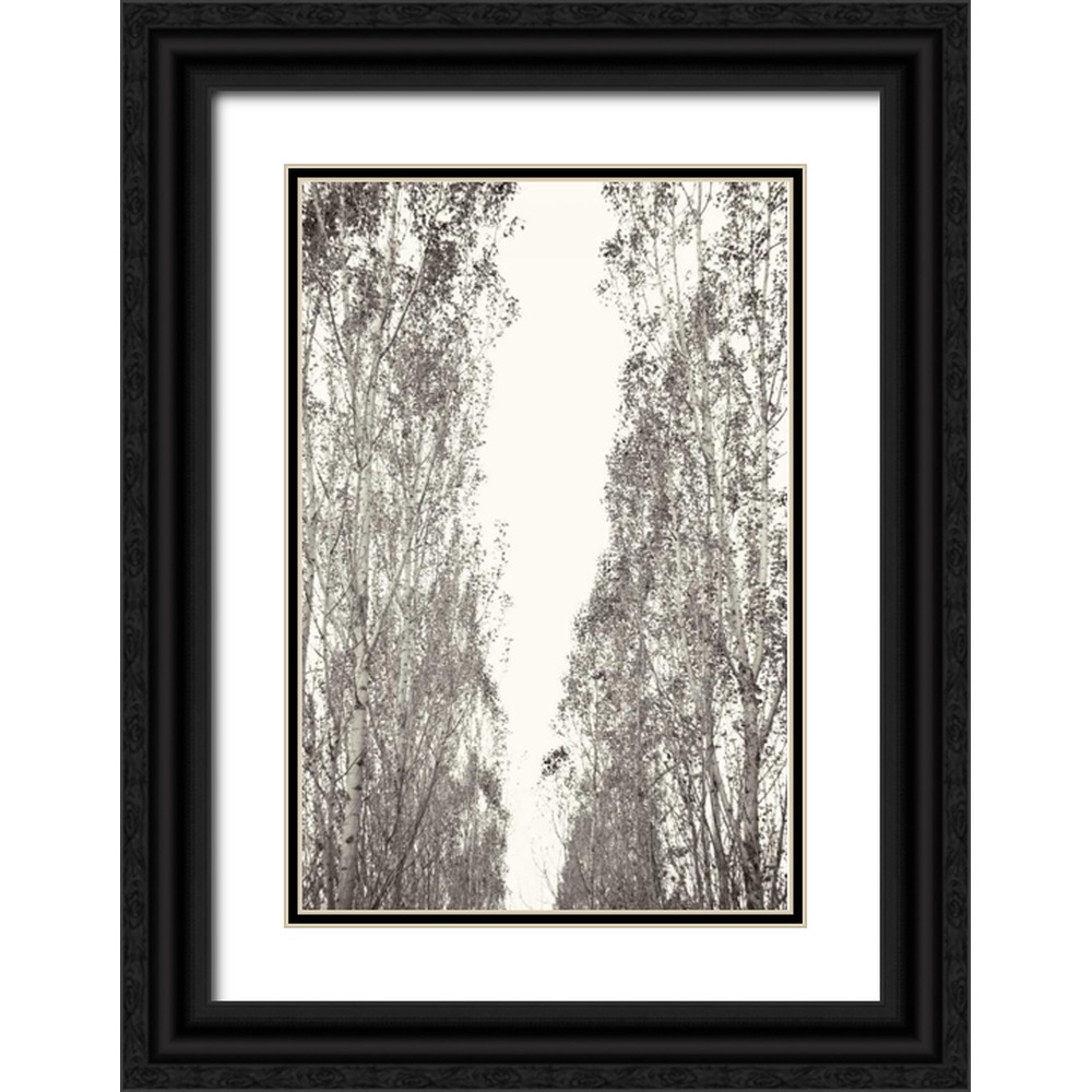 Millet, Karyn 17x24 Black Ornate Wood Framed with Double Matting Museum ...