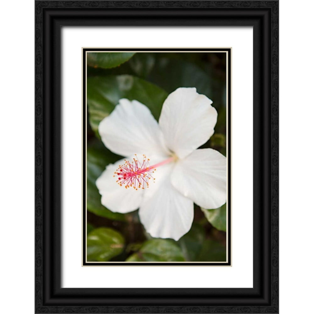 Millet, Karyn 17x24 Black Ornate Wood Framed with Double Matting Museum Art Print Titled - White ...