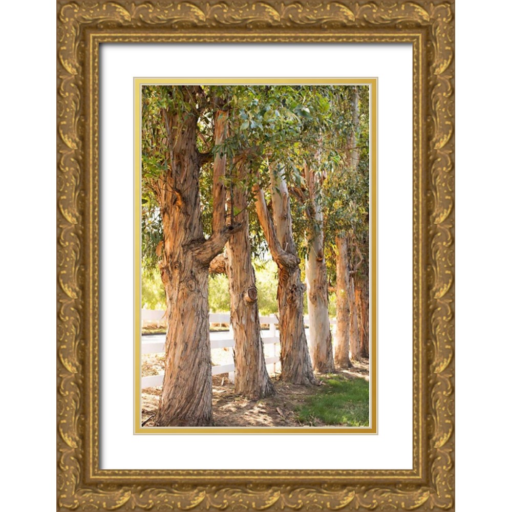 Millet, Karyn 17x24 Gold Ornate Wood Framed with Double Matting Museum ...