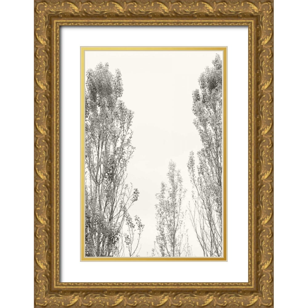 Millet, Karyn 17x24 Gold Ornate Wood Framed with Double Matting Museum ...