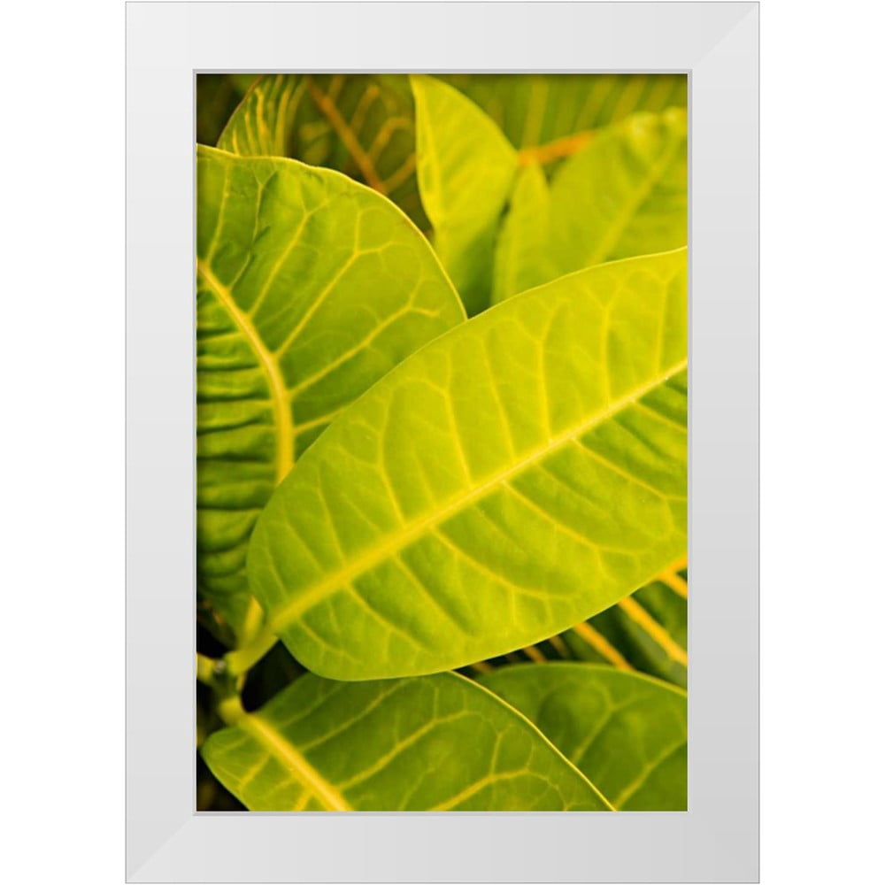 Millet, Karyn 17x24 White Modern Wood Framed Museum Art Print Titled ...