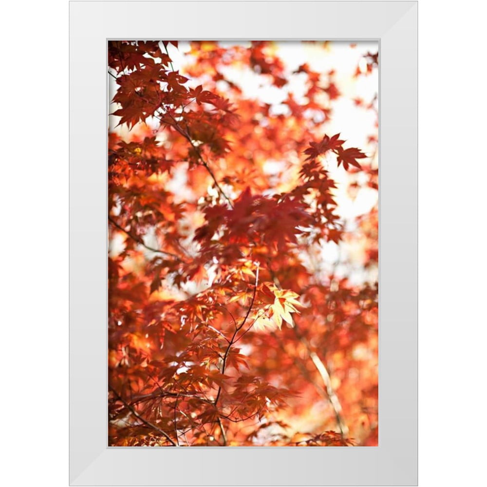 Millet, Karyn 17x24 White Modern Wood Framed Museum Art Print Titled ...
