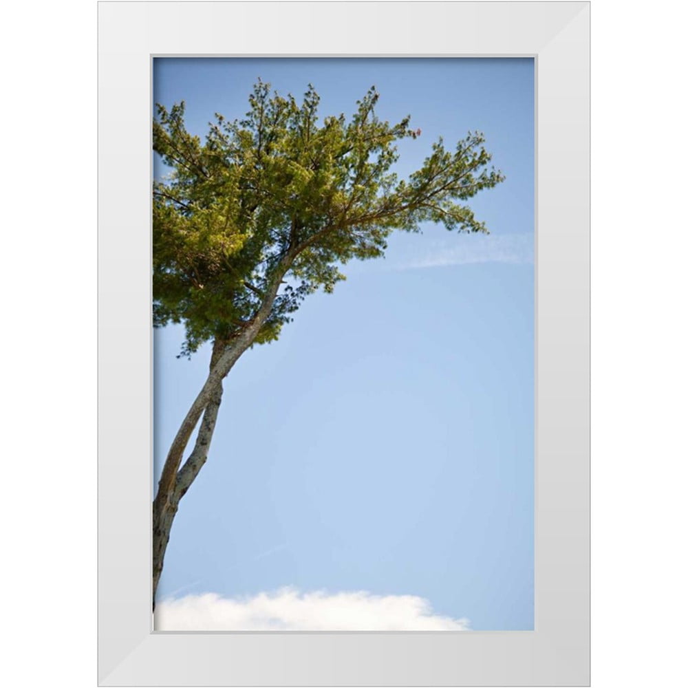 Millet, Karyn 17x24 White Modern Wood Framed Museum Art Print Titled ...
