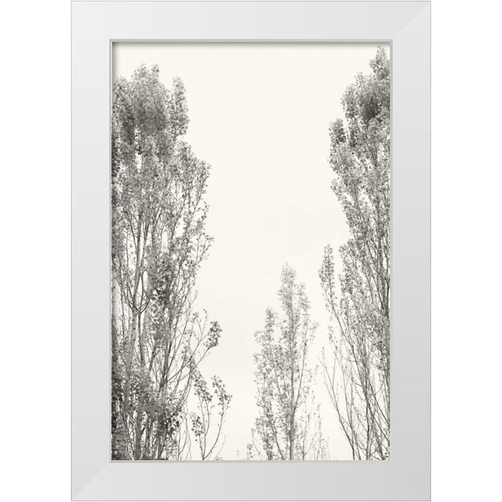 Millet, Karyn 17x24 White Modern Wood Framed Museum Art Print Titled ...