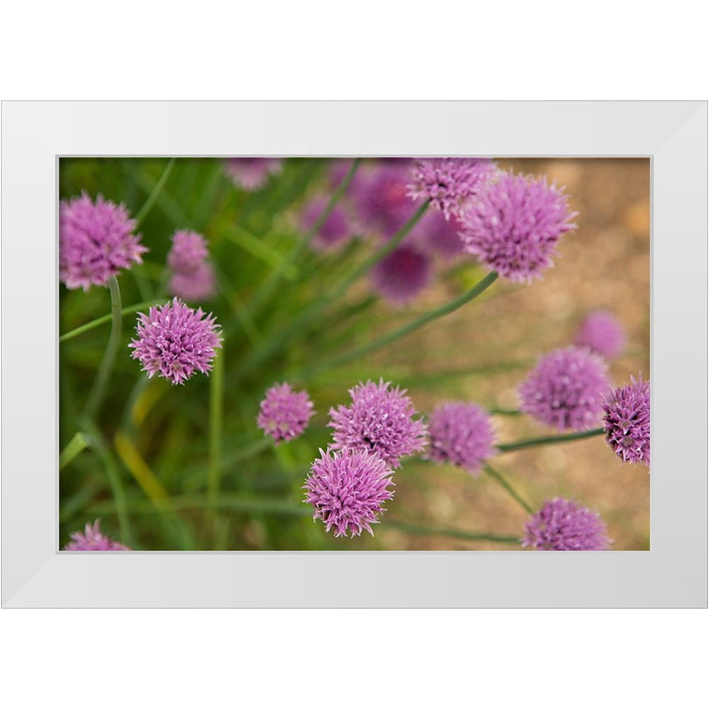 Millet, Karyn 18x13 White Modern Wood Framed Museum Art Print Titled ...
