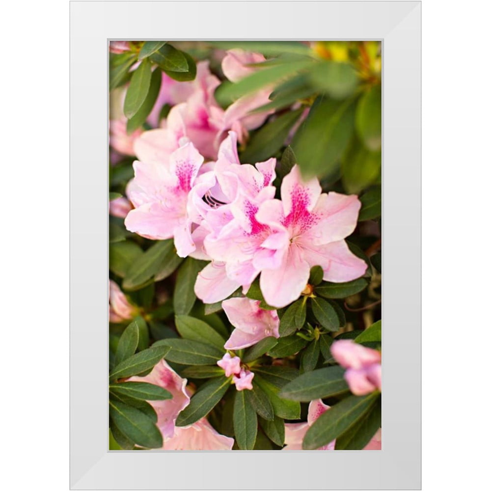 Millet, Karyn 23x32 White Modern Wood Framed Museum Art Print Titled ...