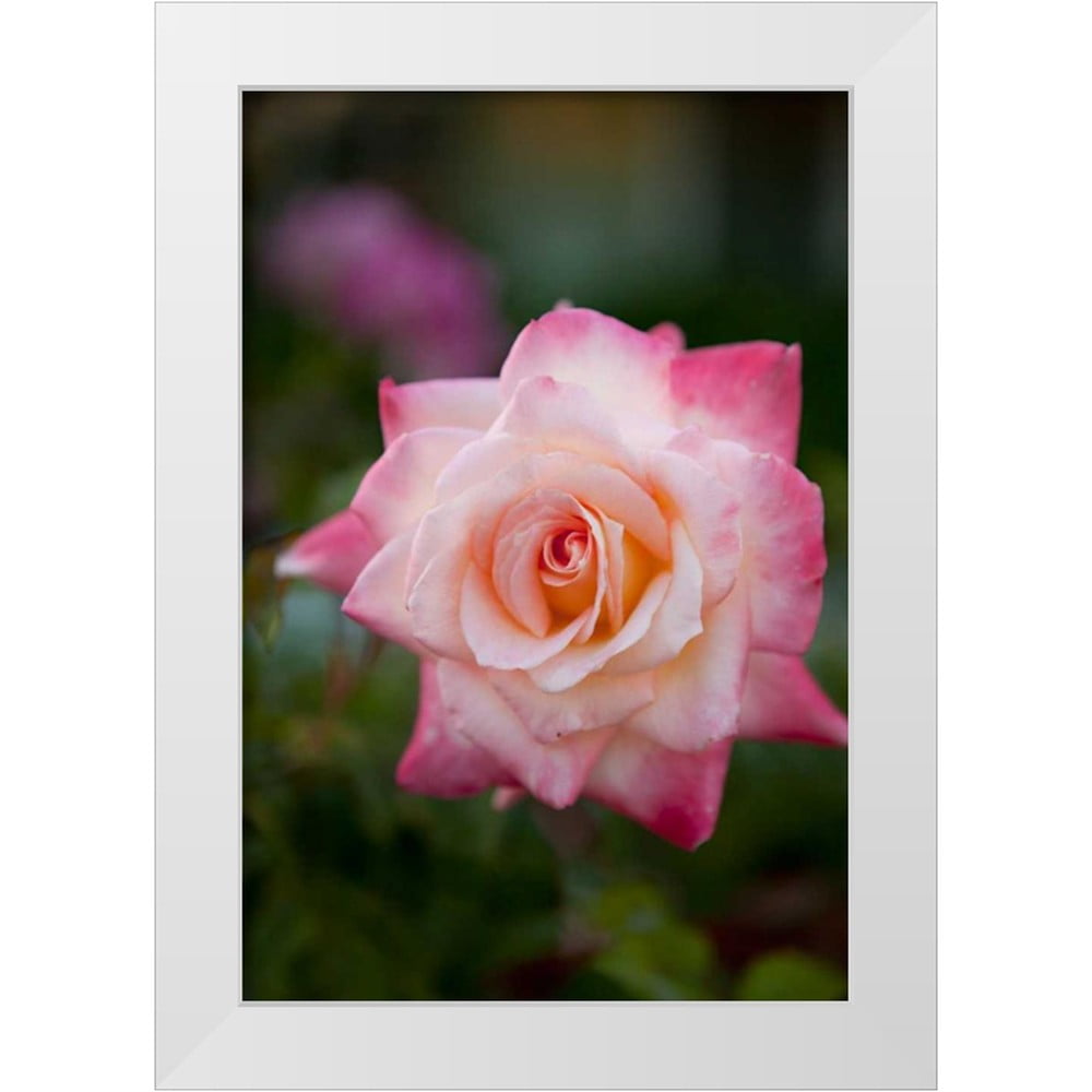 Millet, Karyn 23x32 White Modern Wood Framed Museum Art Print Titled ...