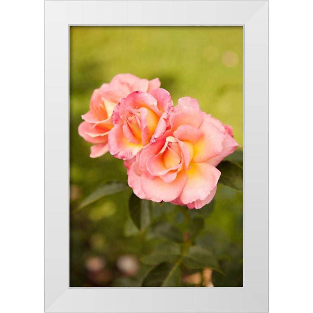 Millet, Karyn 23x32 White Modern Wood Framed Museum Art Print Titled ...