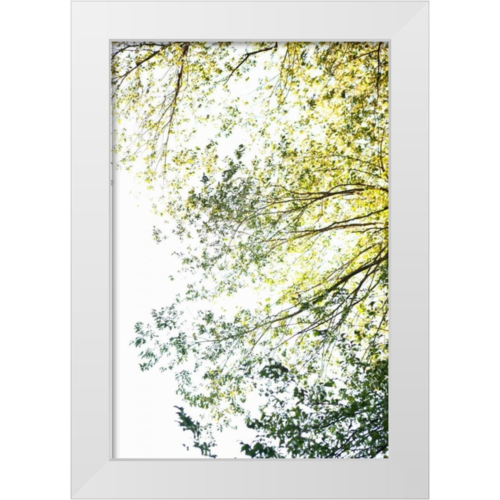 Millet, Karyn 23x32 White Modern Wood Framed Museum Art Print Titled ...