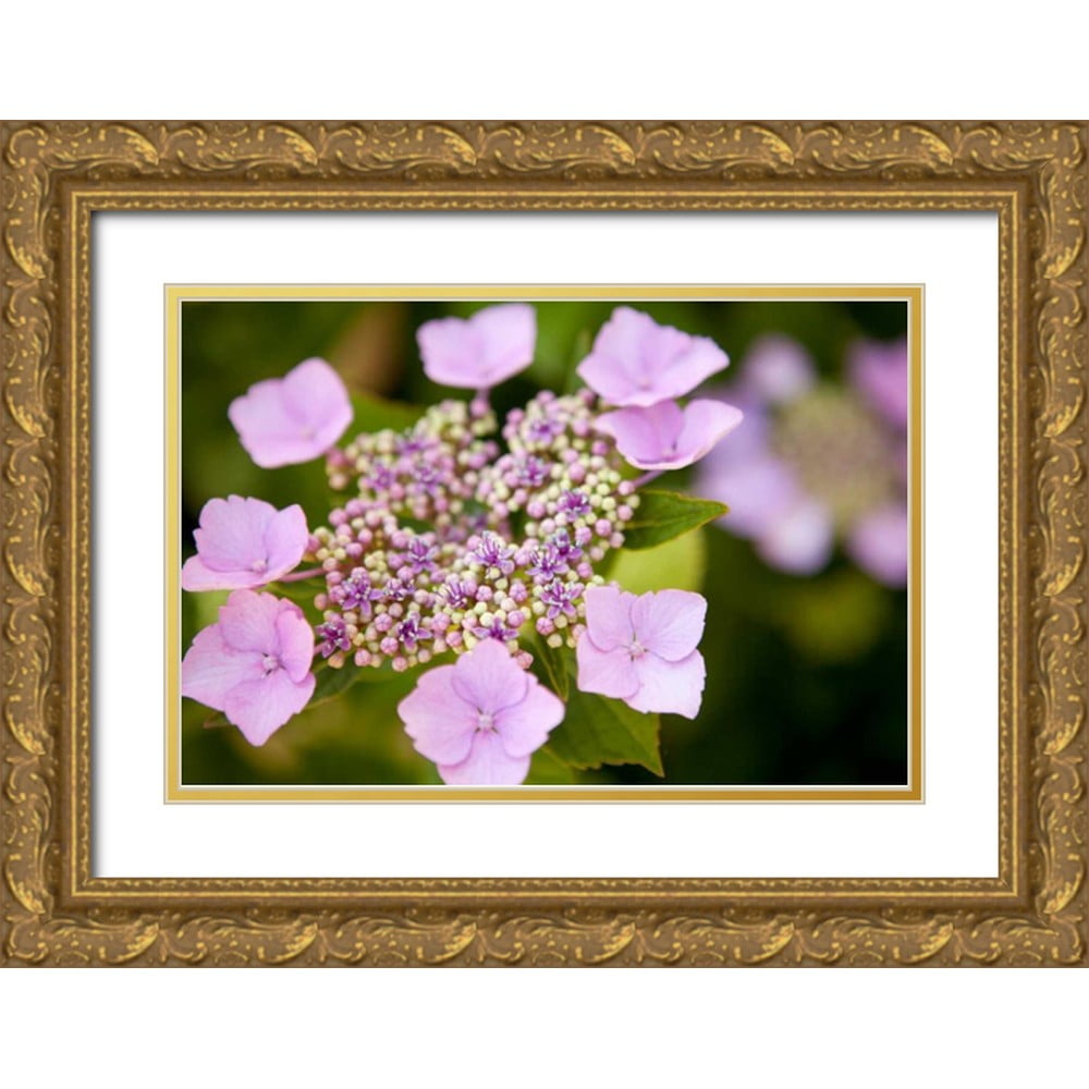 Millet, Karyn 24x17 Gold Ornate Wood Framed with Double Matting Museum ...