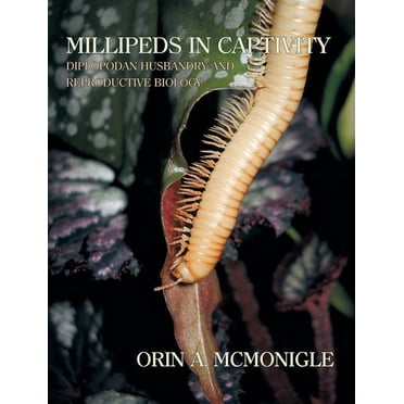 Centipedes in Captivity: The Reproductive Biology and Husbandry of ...
