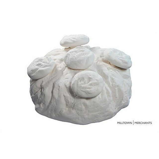 Milltown Merchants Frag Rock and Mushroom Plugs - Aquarium Reef Rock ...