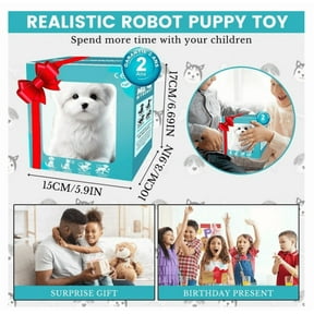 CSSAD Lunafex Robot Cat, Nicoo - My Realistic Robot Kitten, Nico My ...