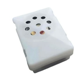 Electronic Voice Box