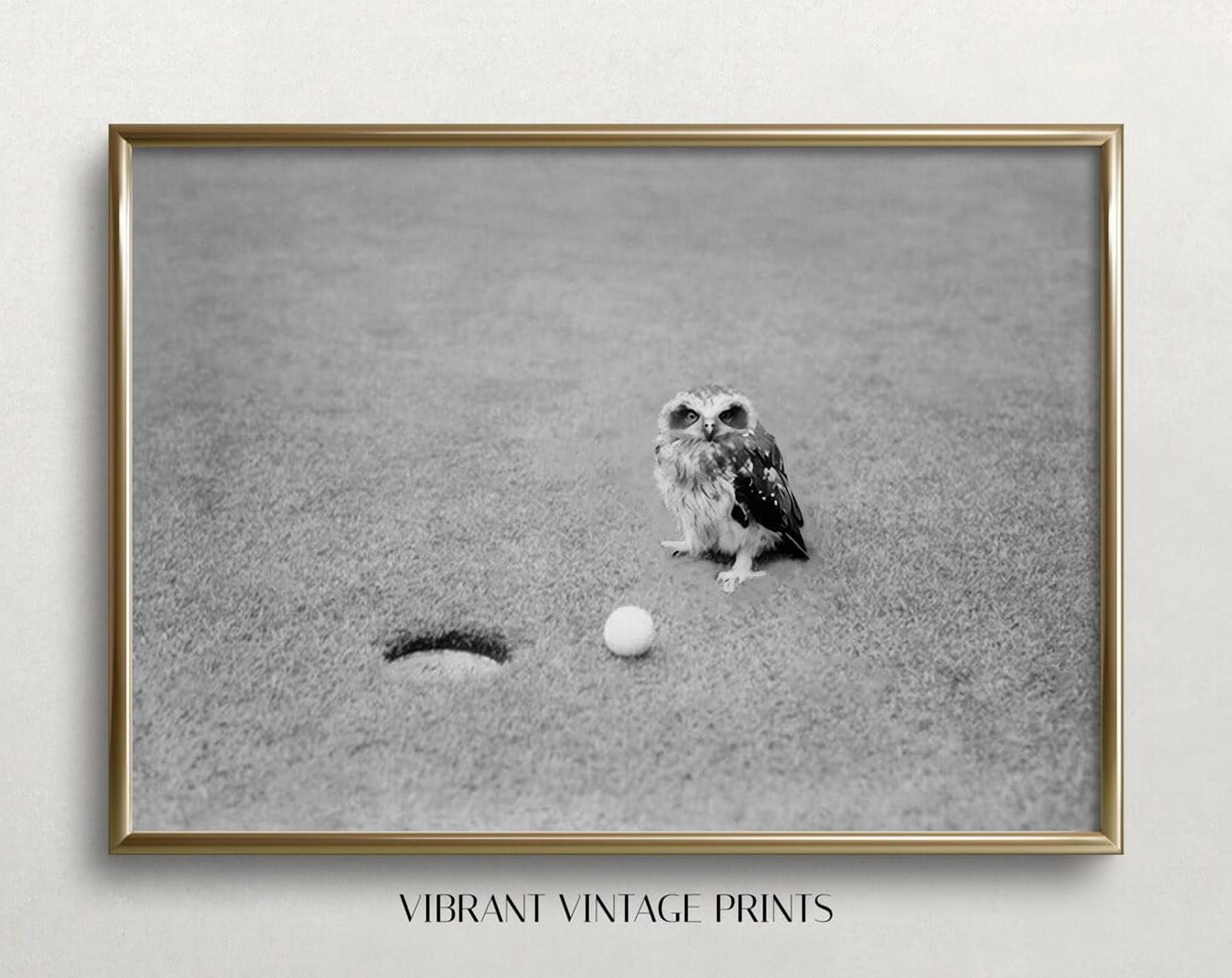 Miluva Baby Owl Golf Hole, Golf Wall Art, Black And White Art, Vintage ...